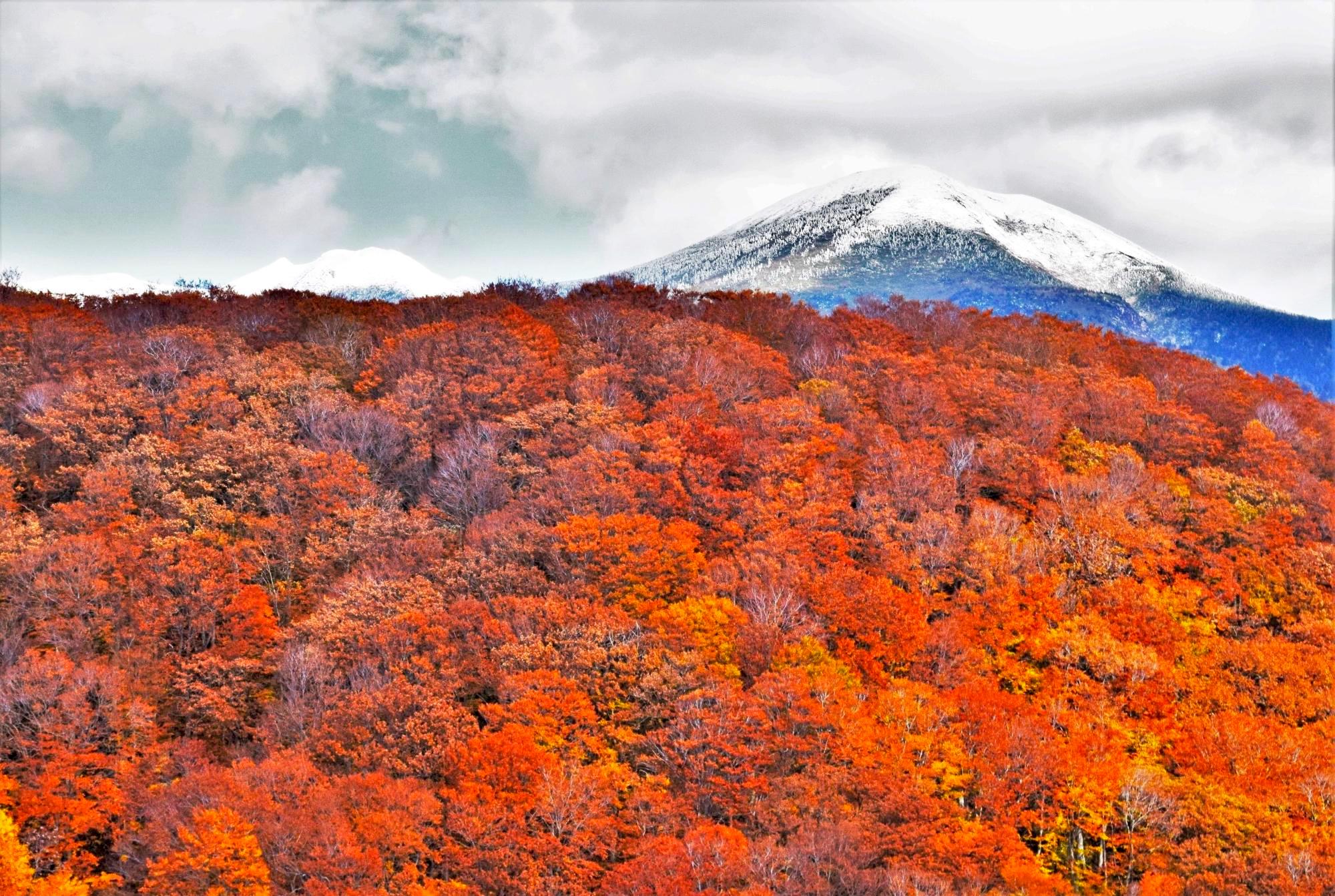・車椅子ツアー╱紅葉の秋田（白神山地）青森（奥入瀬渓流・十和田湖）3日 10月24日 | 心の翼バリアフリーツアー